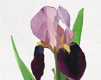 Iris Color Block Print - Etsy