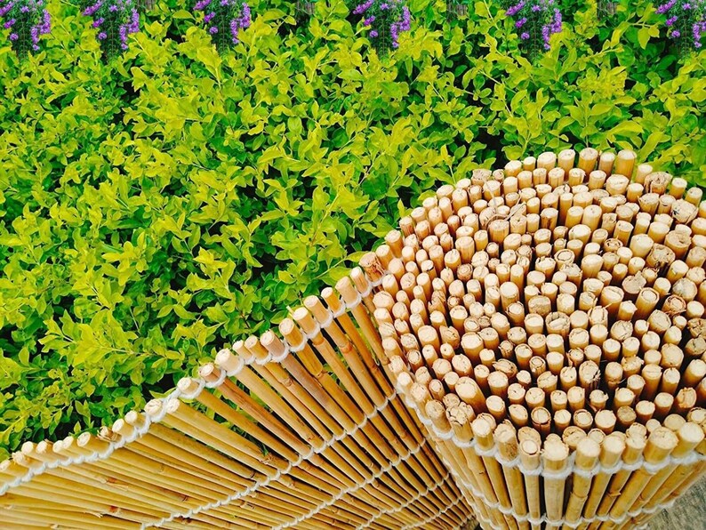 A2Z Home Solutions New Stunning Thread Stitch Real Bamboo Natural ...