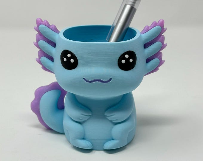 Blue and Pink Axolotl Flower Pot, Axolotl Planter, Pencil Holder ...