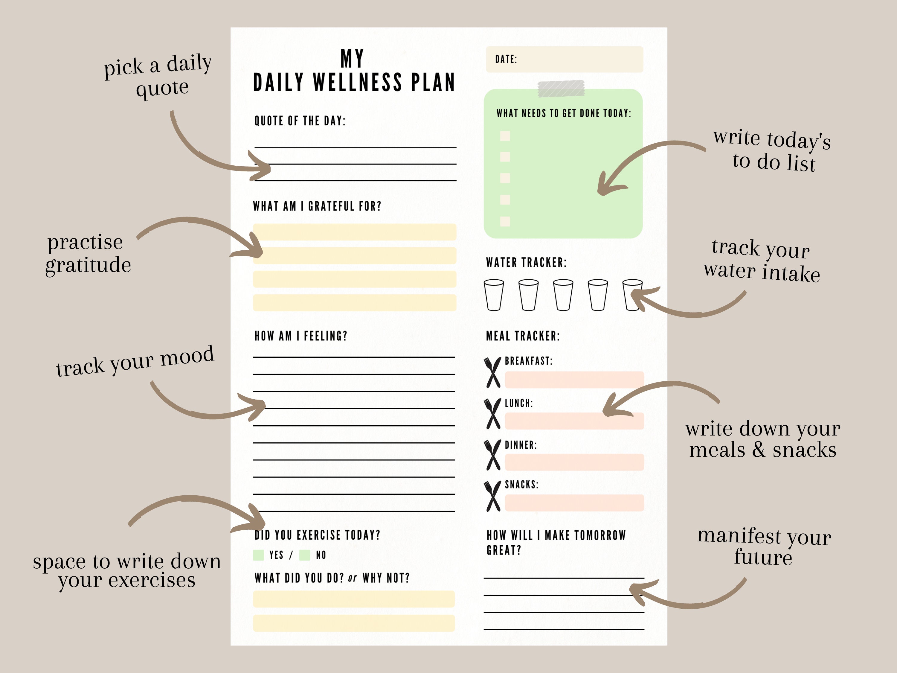 Daily Wellness Printable, Printable Daily 2022 Planner, Gratitude ...