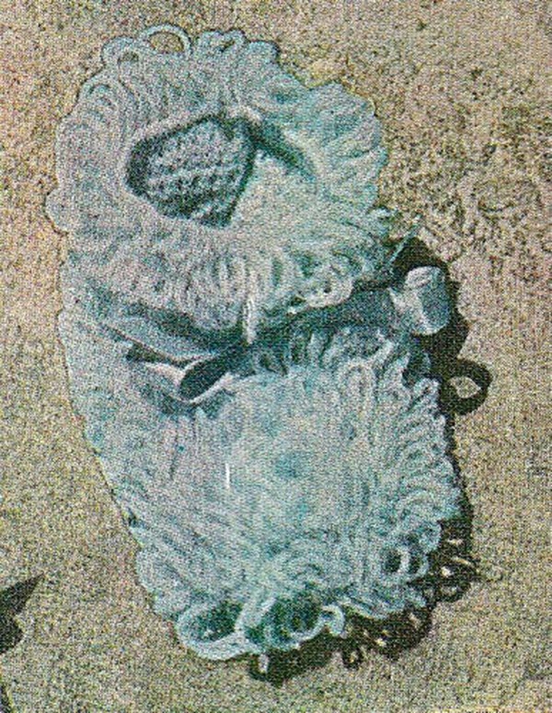 LOOPY BABY BOOTIES Crochet Pattern, Infant, Newborn, Booties, Shoes ...