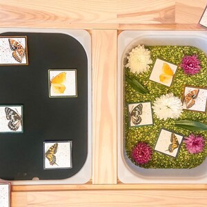 Butterfly Symmetry Cards, Spring Montessori Inspired Activitity, Spring ...