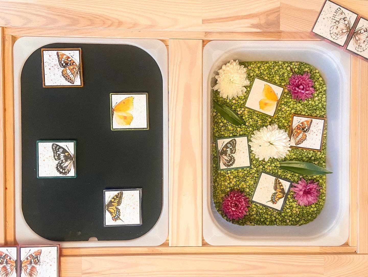 Butterfly Symmetry Cards, Spring Montessori Inspired Activitity, Spring ...