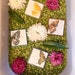 Butterfly Symmetry Cards, Spring Montessori Inspired Activitity, Spring ...