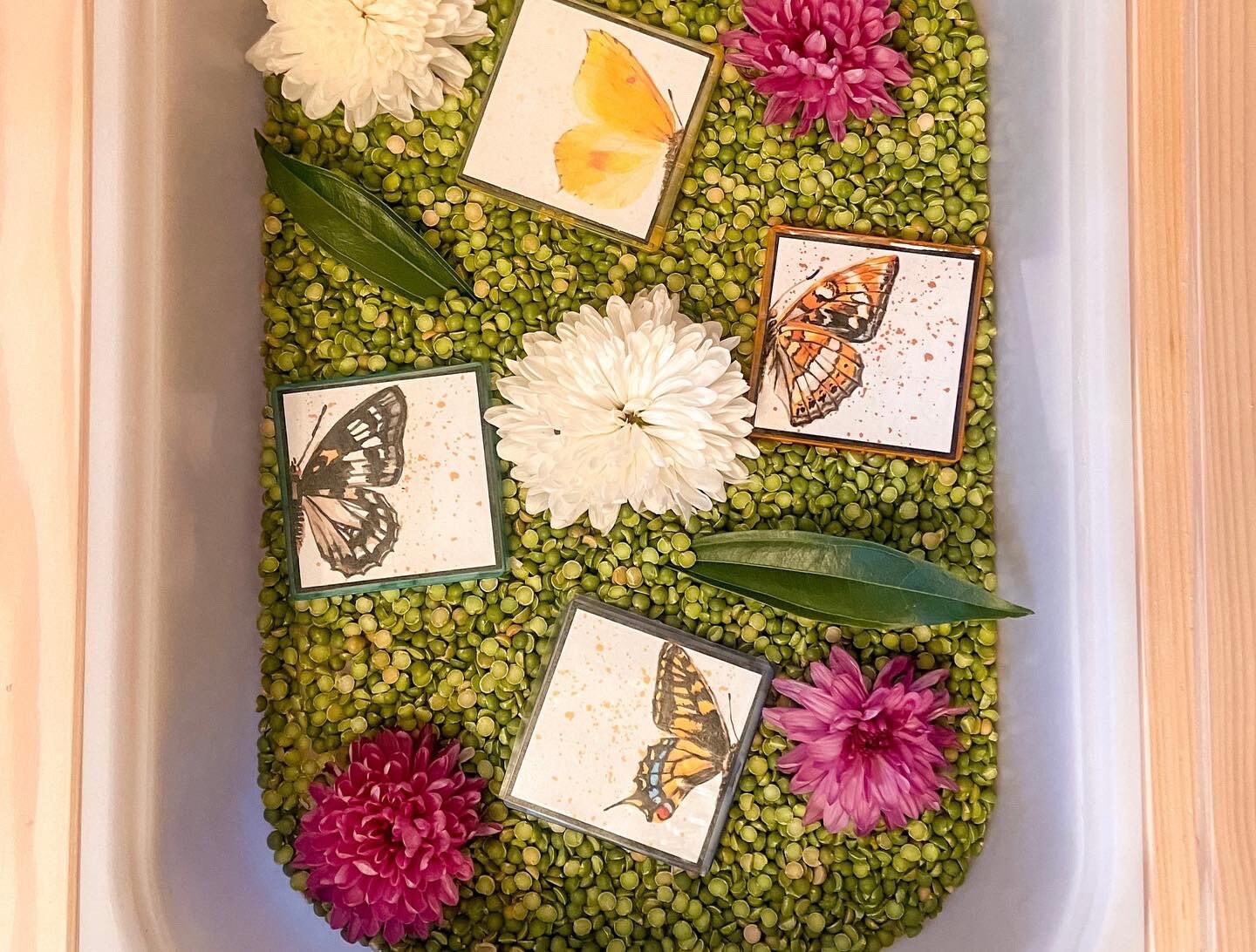 Butterfly Symmetry Cards, Spring Montessori Inspired Activitity, Spring ...