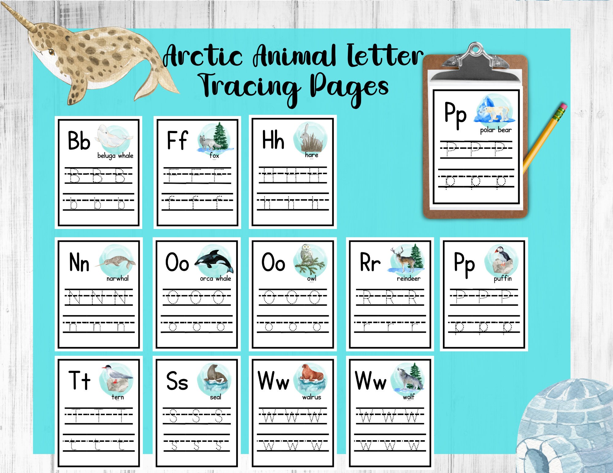 Arctic ABC Bundle, Homeschool Preschool, Alphabet Cards, Beginning ...