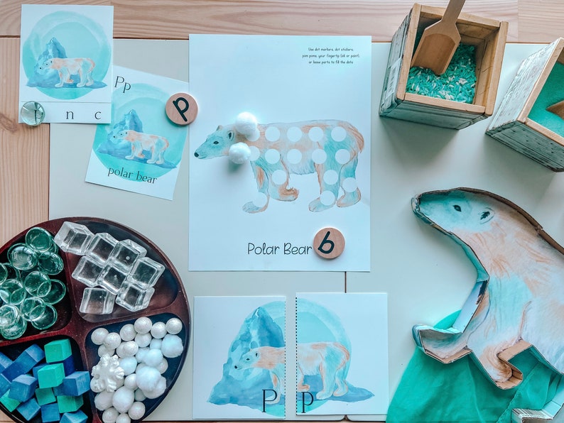 Arctic ABC Bundle, Homeschool Preschool, Alphabet Cards, Beginning ...