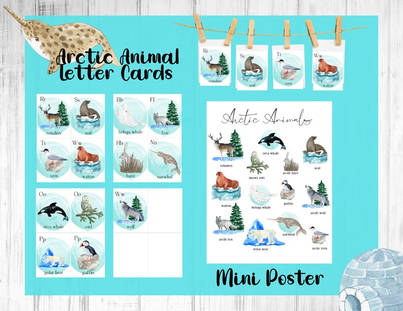 Arctic ABC Bundle, Homeschool Preschool, Alphabet Cards, Beginning ...