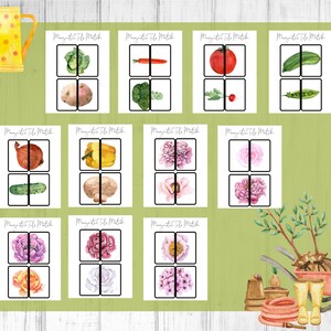 Preschool Garden Printable Bundle, Homeschool Garden Printable, Garden ...