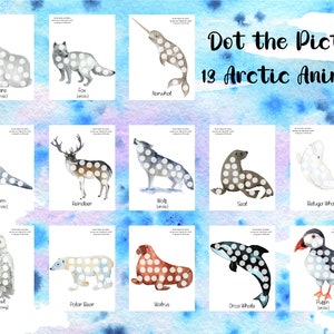 Arctic Homeschool Preschool Bundlle, Arctic Printable Activity ...