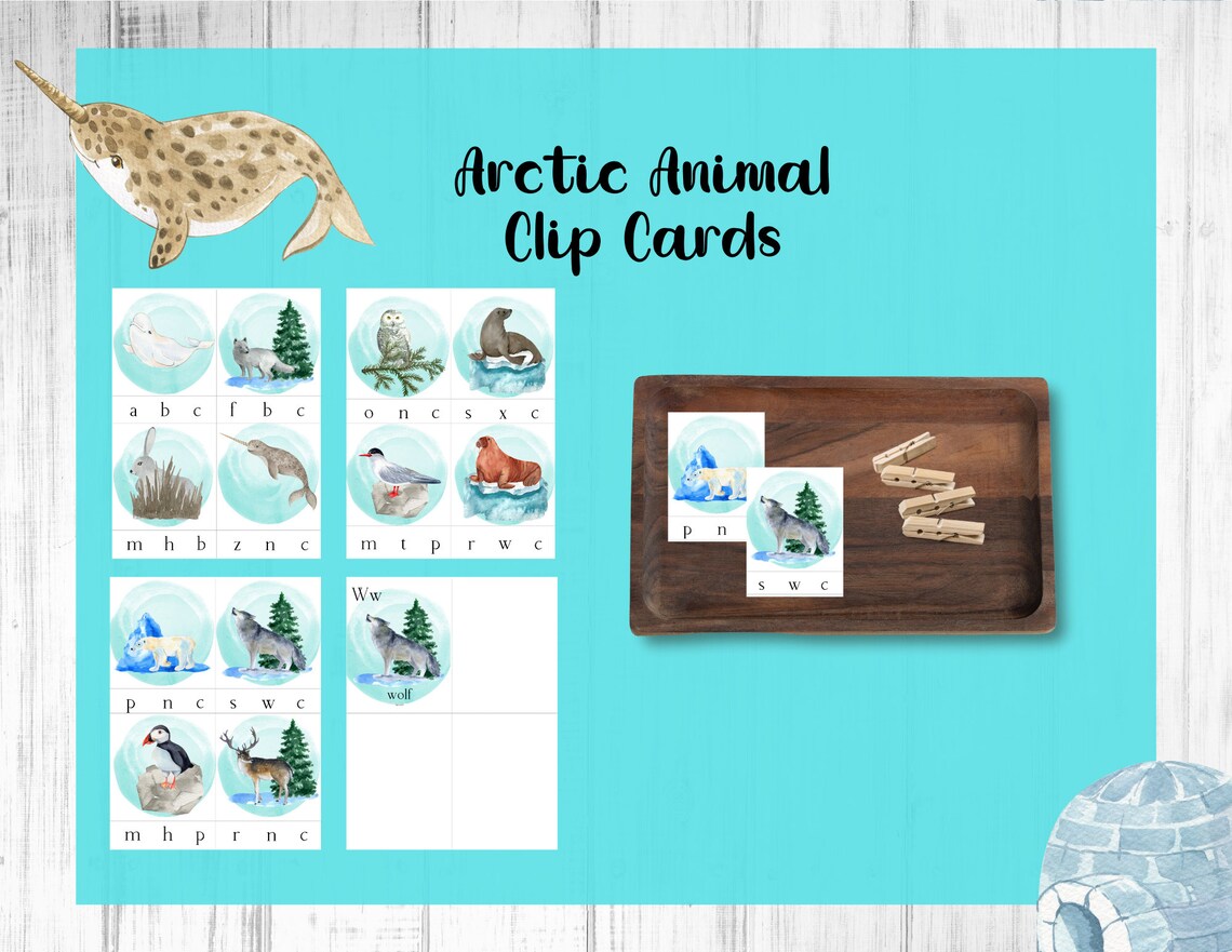 Arctic ABC Bundle, Homeschool Preschool, Alphabet Cards, Beginning ...