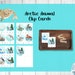 Arctic ABC Bundle, Homeschool Preschool, Alphabet Cards, Beginning ...