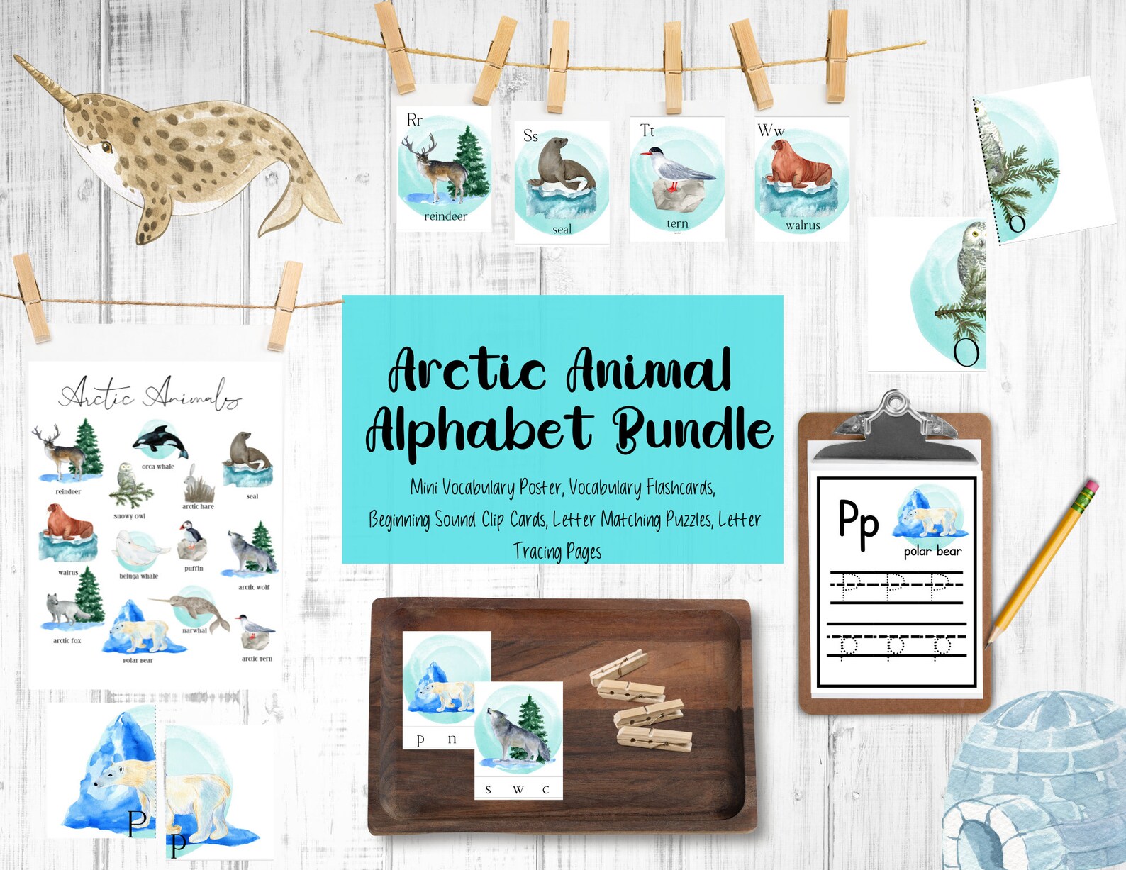 Arctic ABC Bundle, Homeschool Preschool, Alphabet Cards, Beginning ...