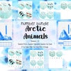 Arctic ABC Bundle, Homeschool Preschool, Alphabet Cards, Beginning ...
