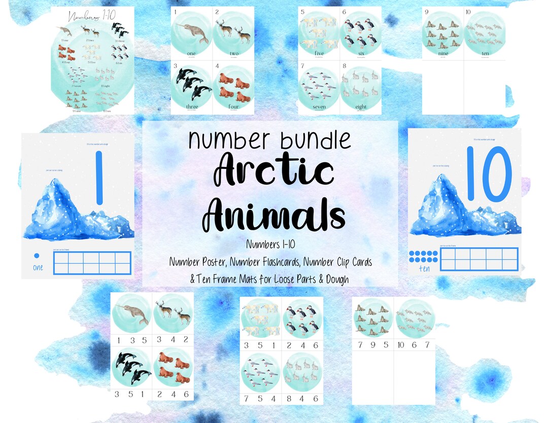 Number Arctic Homeschool & Preschool Bundle | Number Cards | Counting ...