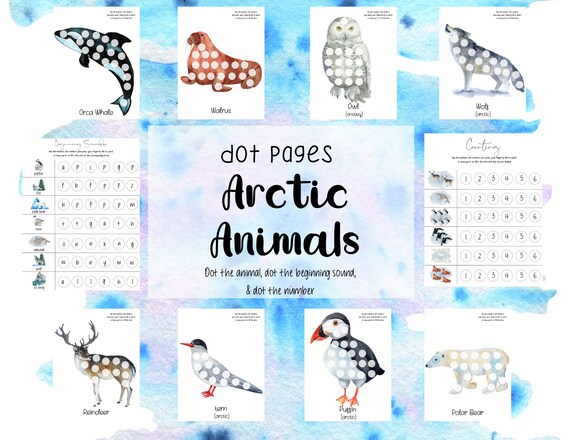 Arctic Animal Preschool Printable Dot Marker Printable Dot | Etsy
