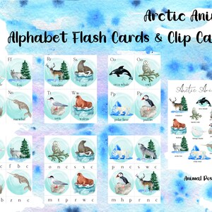Arctic Homeschool Preschool Bundlle, Arctic Printable Activity ...