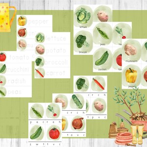 Preschool Garden Printable Bundle, Homeschool Garden Printable, Garden ...