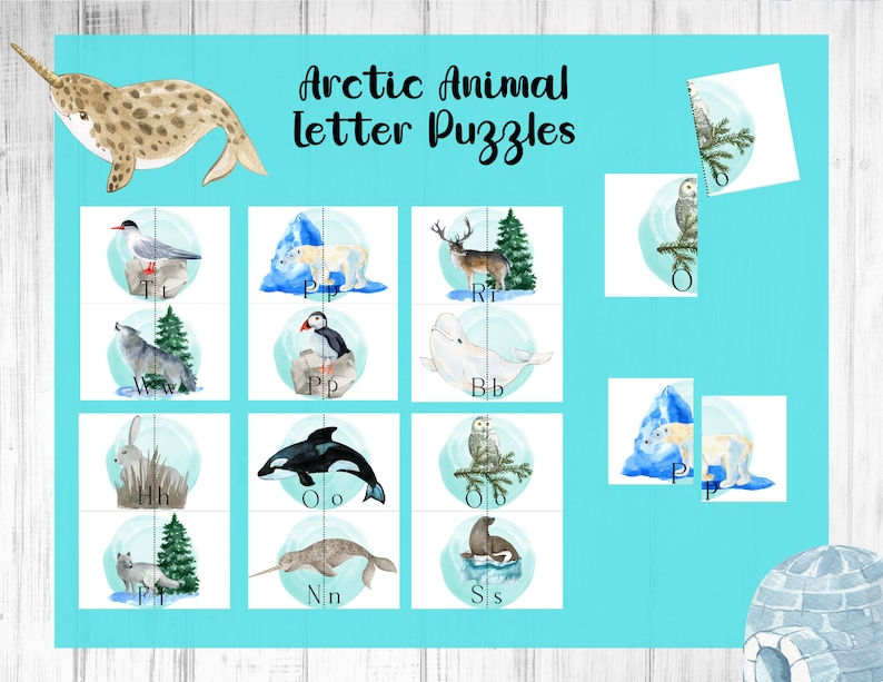 Arctic ABC Bundle, Homeschool Preschool, Alphabet Cards, Beginning ...