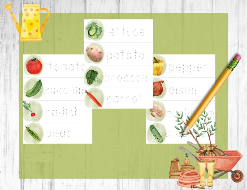 Preschool Vegetable Printable Bundle, Homeschool Vegetable Printable ...
