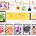 Color Decor Classroom, Printable Bundle, Color Posters, Preschool Color ...