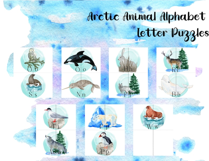 Arctic Homeschool Preschool Bundlle, Arctic Printable Activity ...