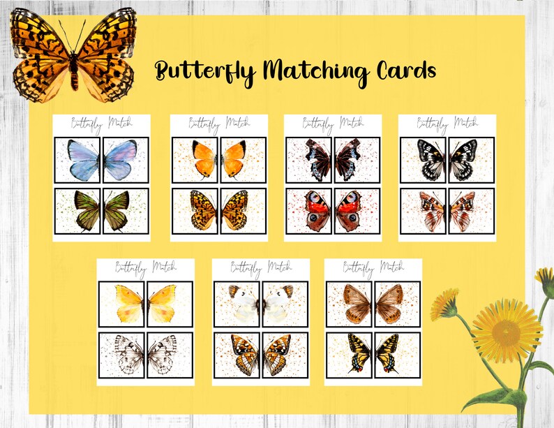 Butterfly Symmetry Cards, Spring Montessori Inspired Activitity, Spring ...