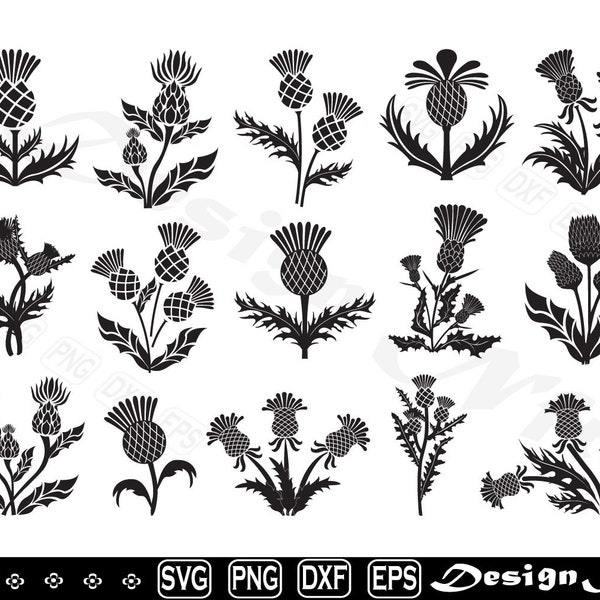 Scottish Thistle - Etsy