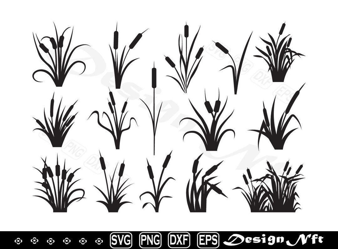 Cattail Svg, Clipart, Cut Files for Silhouette, Vector, Dxf, Eps, Png ...