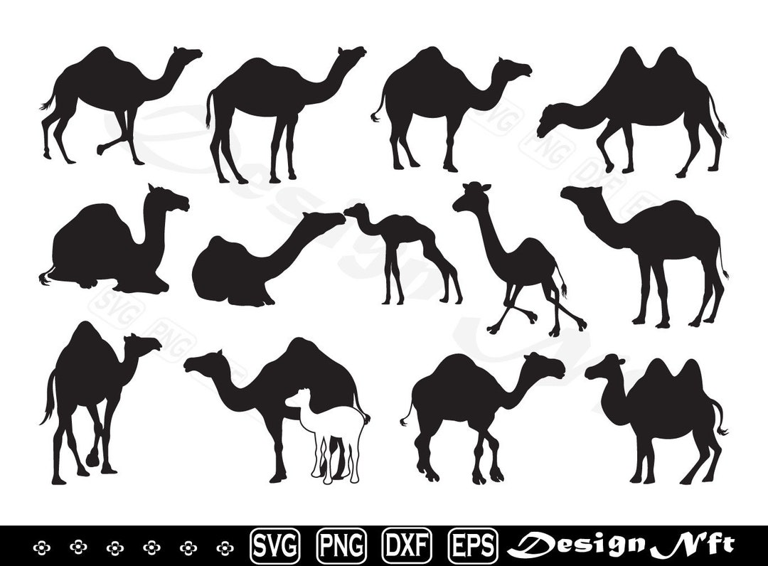 Camel Svg, Clipart, Cut Files for Silhouette, Vector, Dxf, Eps, Png ...