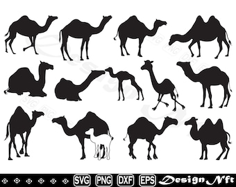 Camel SVG, Desert Svg, Camel Clipart, Camel Files for Cricut, Camel Cut ...