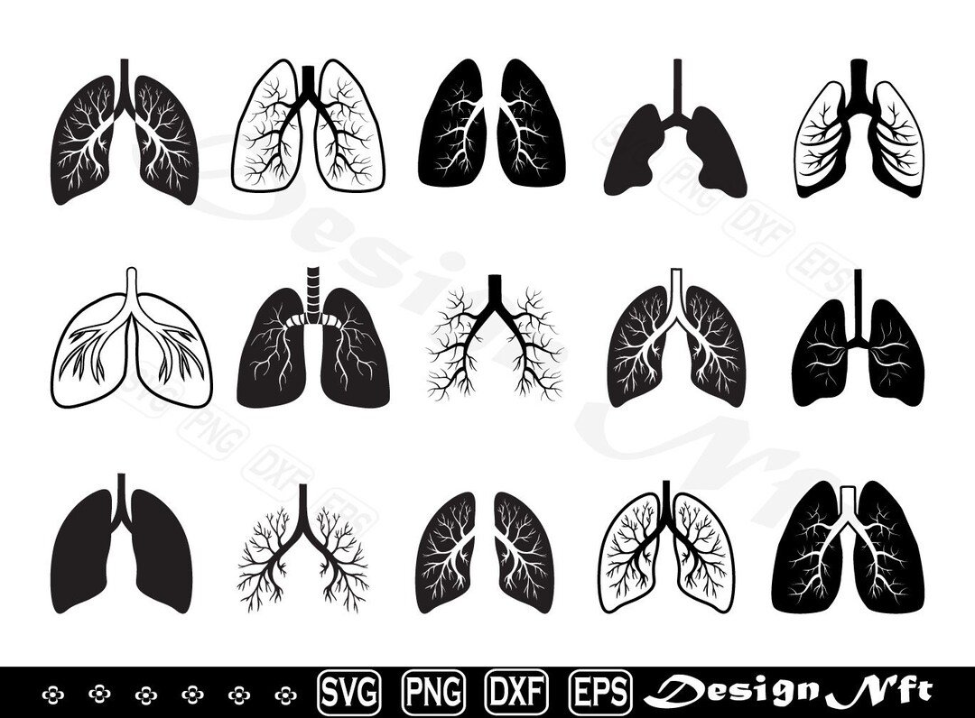 Lungs Svg, Clipart, Cut Files for Silhouette, Vector, Dxf, Eps, Png ...