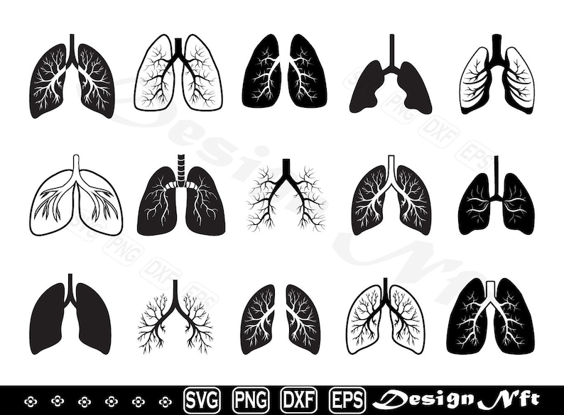Lungs Svg, Clipart, Cut Files for Silhouette, Vector, Dxf, Eps, Png ...
