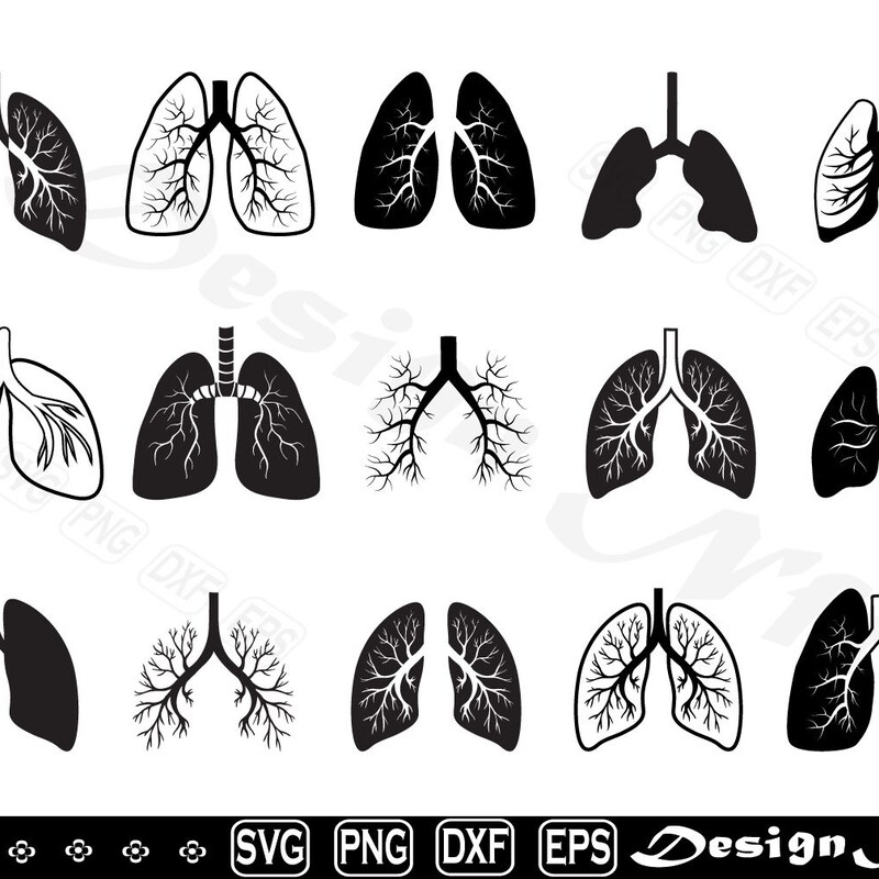 Lung Svg - Etsy