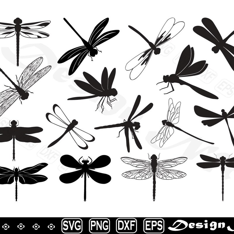 Dragonfly Svg - Etsy