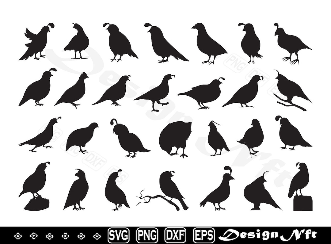 Quail Svg, Clipart, Cut Files for Silhouette, Vector, Dxf, Eps, Png ...