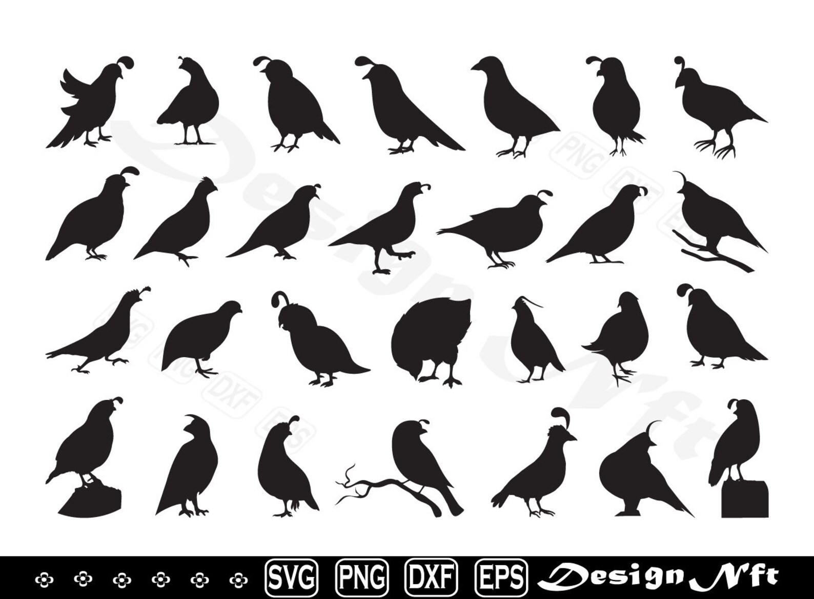 Quail Svg, Clipart, Cut Files for Silhouette, Vector, Dxf, Eps, Png ...