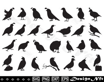 Quail SVG, Quail Bird Svg, Clipart, Cut Files for Silhouette, Files for ...