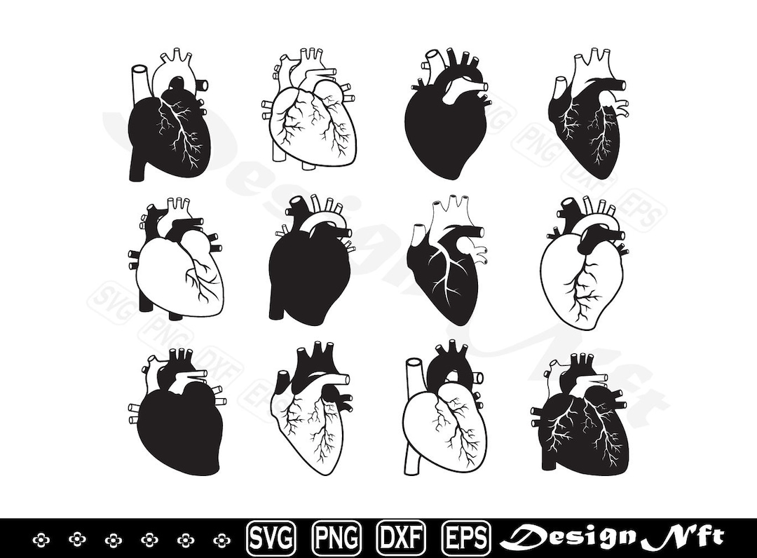 Human Heart Svg, Human Svg, Heart Svg, Cut File for Silhouette, Eps ...