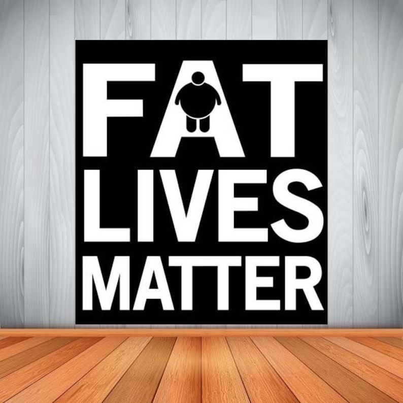 Fat Lives Matter Vinyl Sticker, Funny Car Van Caravan Laptop Windows ...