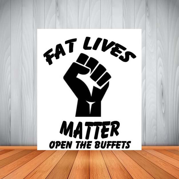 Fat Lives Matter Vinyl Sticker, Funny Car Van Caravan Laptop Windows ...