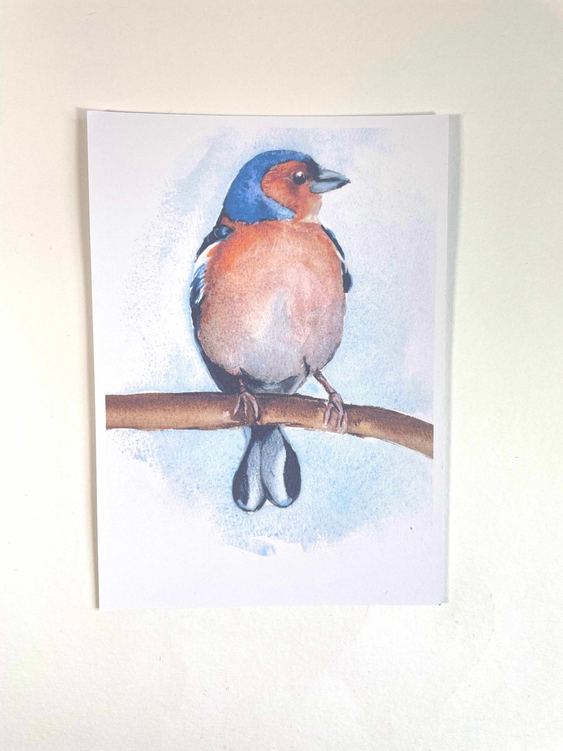 Watercolour Bird Postcard Set 2 Pack of 6 Postcards - Pack of 6 ...