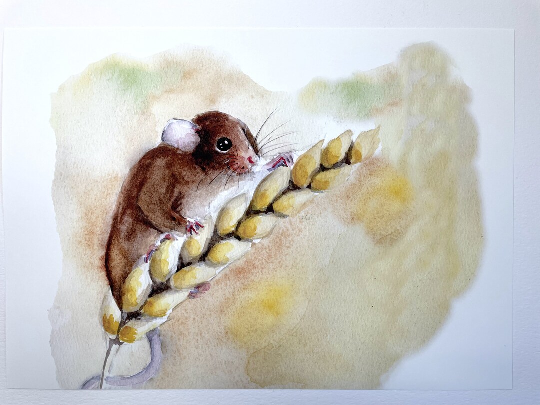Field Mouse Watercolour Print - Animal - Illustration - Mouse - Home ...