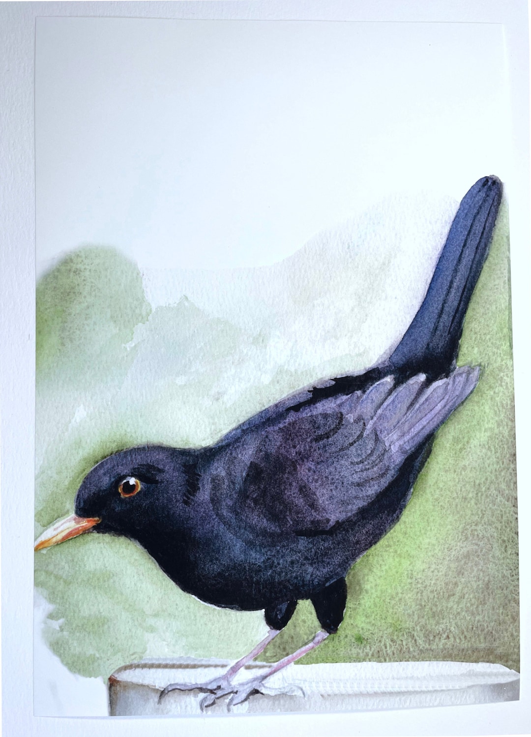 Blackbird Watercolour Print - Animal - Illustration - Bird - Home Decor ...