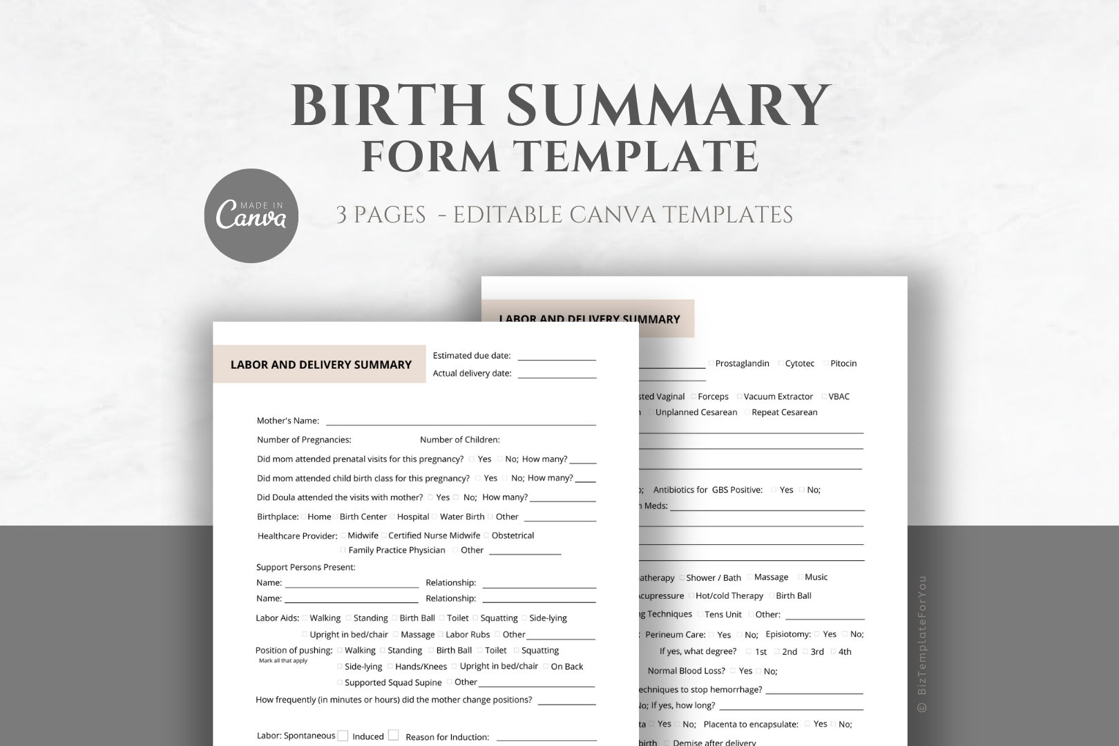 Editable Birth Summary Template, Labor and Delivery Summary Sheet for ...