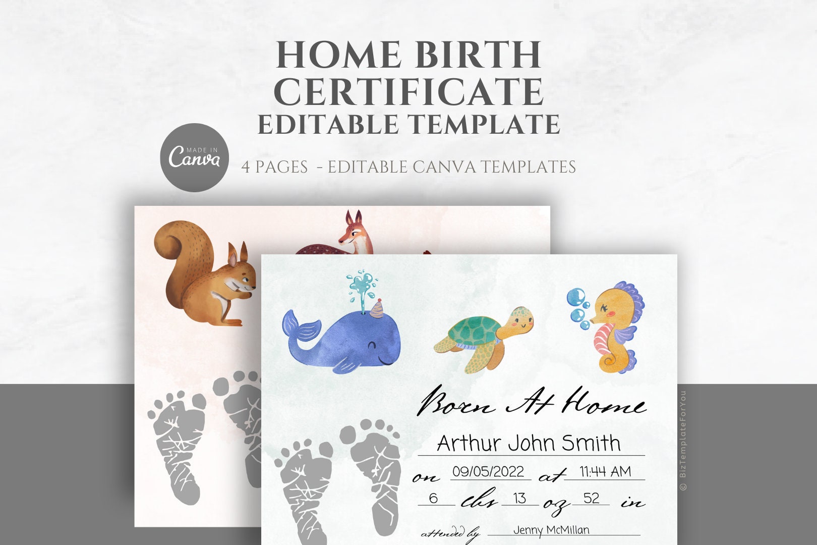 Birth Certificate Templates