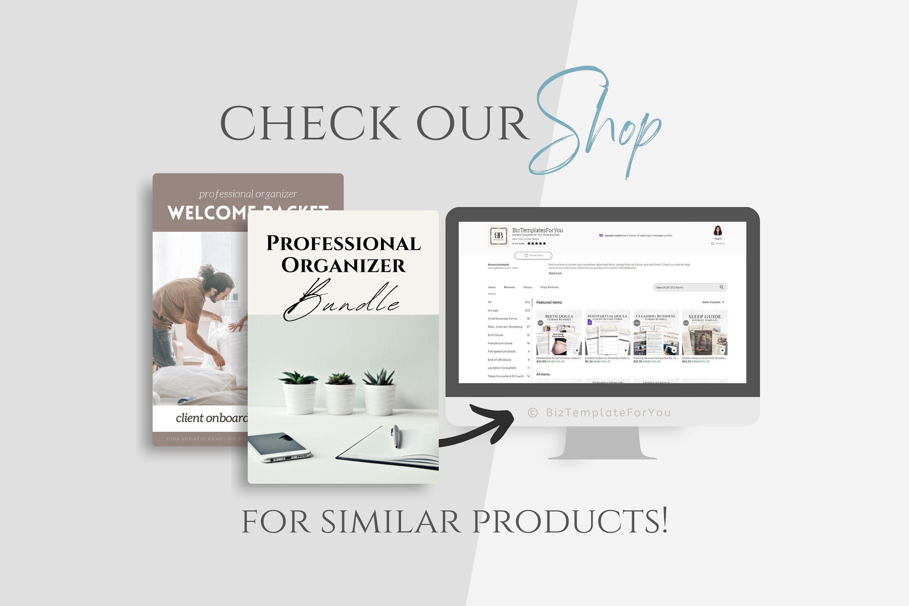 Editable Professional Organizer Client Assessment Checklist Template ...