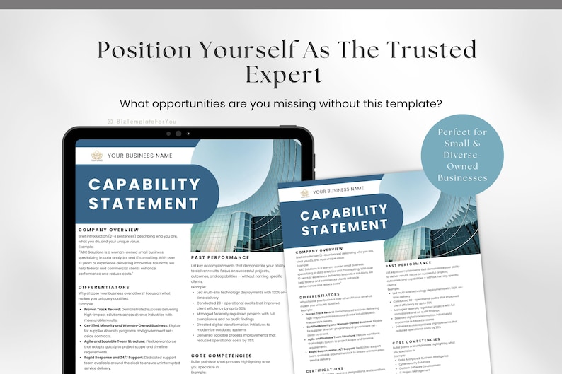Editable Business Capability Statement Template, Capability Statement ...