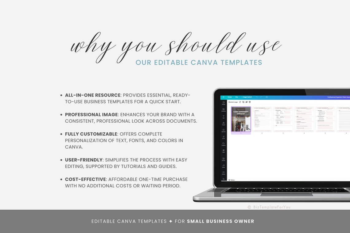 Editable Professional Organizer Client Assessment Checklist Template ...