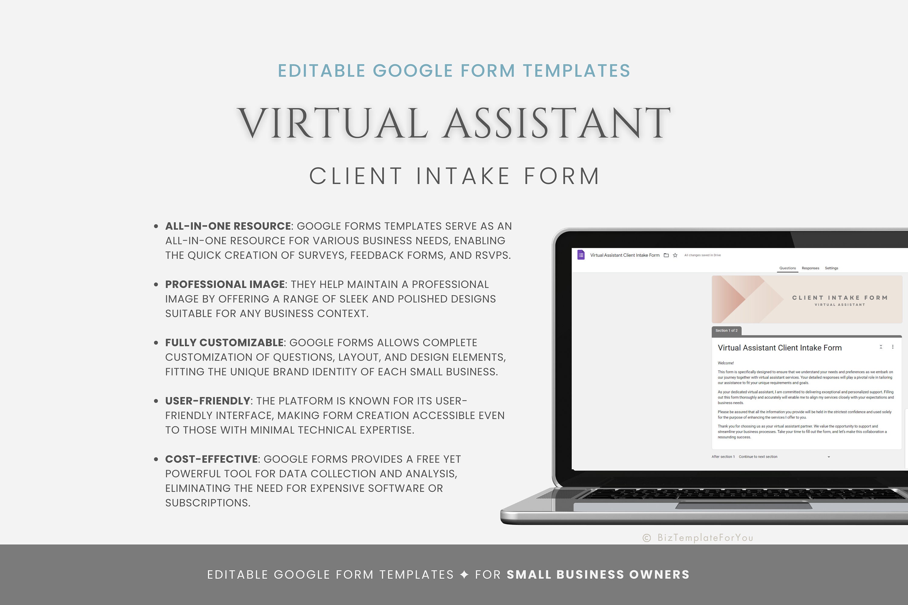 Editable Virtual Assistant Client Intake Form Template, Freelance ...